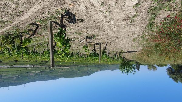 Wine Masterclass: Calabria - a hidden Italian gem : West London Wine ...